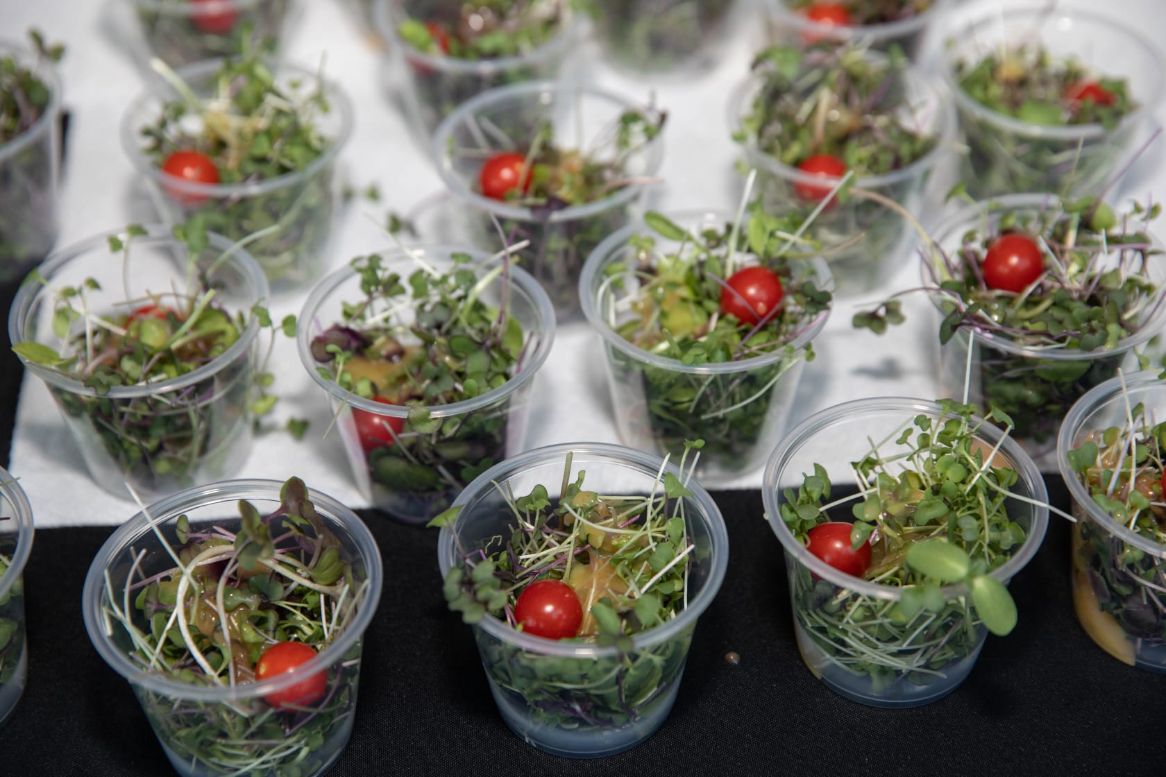 Microgreens – Cosecha Urbana PR