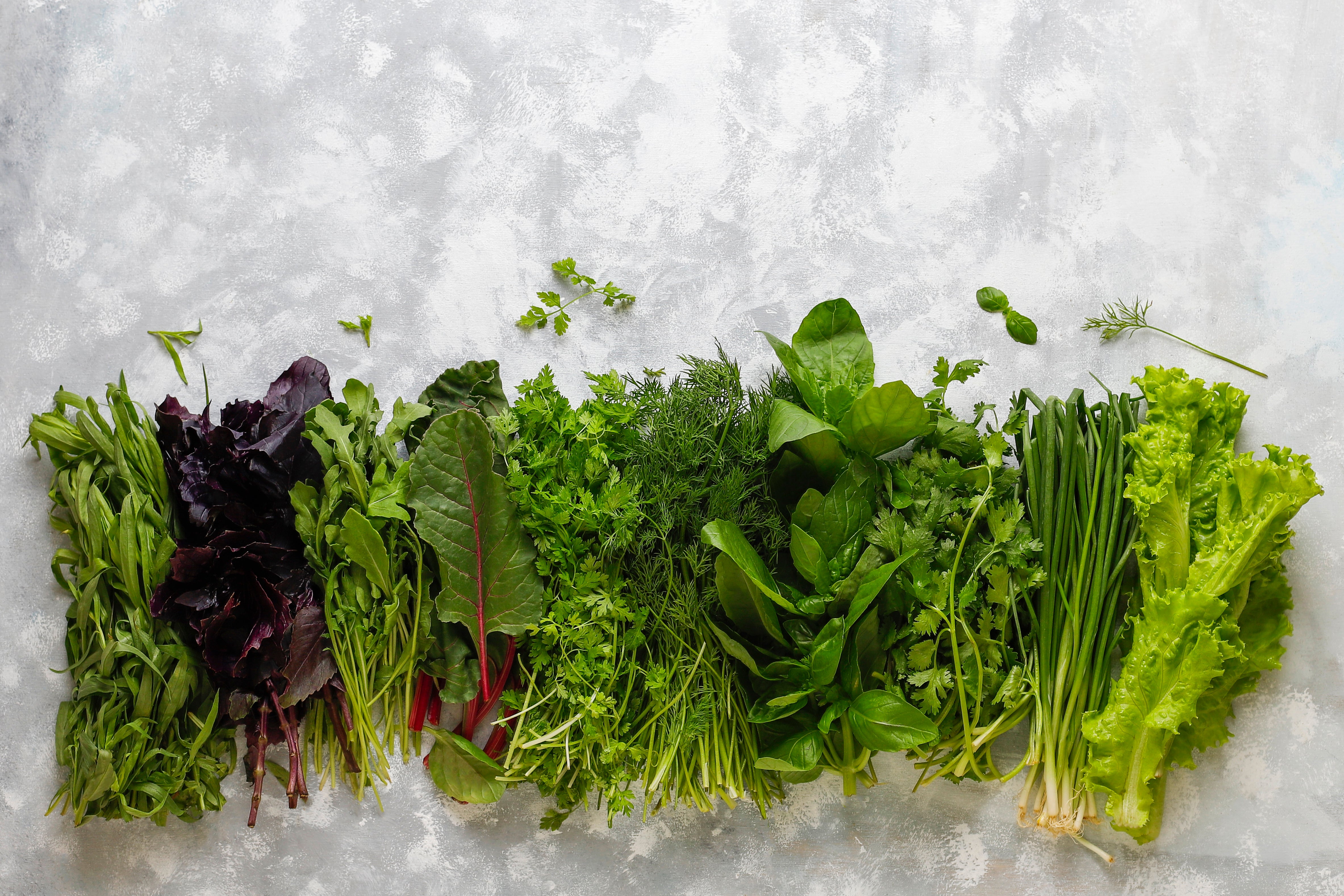 Fresh corner – Cosecha Urbana PR