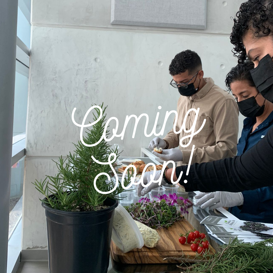 Cursos,Talleres & Servicios – Cosecha Urbana PR